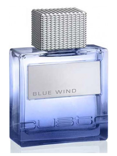 Blue Wind Custo Barcelona cologne - a fragrance for men 2012