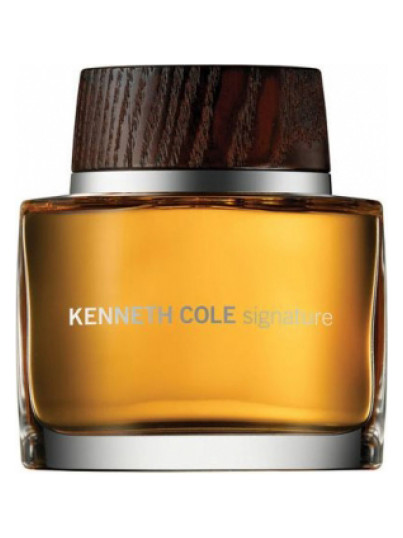 Signature Kenneth Cole cologne - a fragrance for men 2005