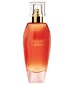 VV Rose Roberto Verino perfume - a fragrance for women 2005