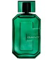 Ivy perfume ingredient, Ivy fragrance and essential oils Araliaceae