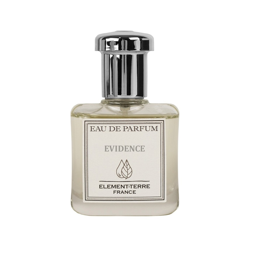 Evidence Element Terre cologne - a new fragrance for men 2024