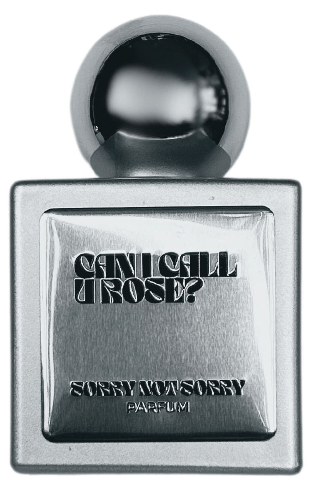Can I Call U Rose? Sorry Not Sorry perfume - a novo fragrância ...