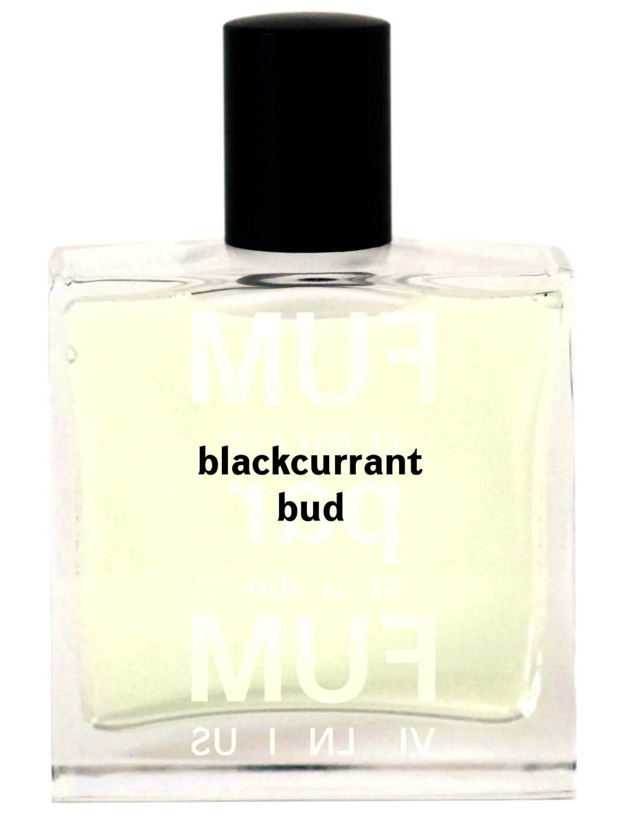 Blackcurrant Bud FUMparFUM perfume - a new fragrance for women and men 2024