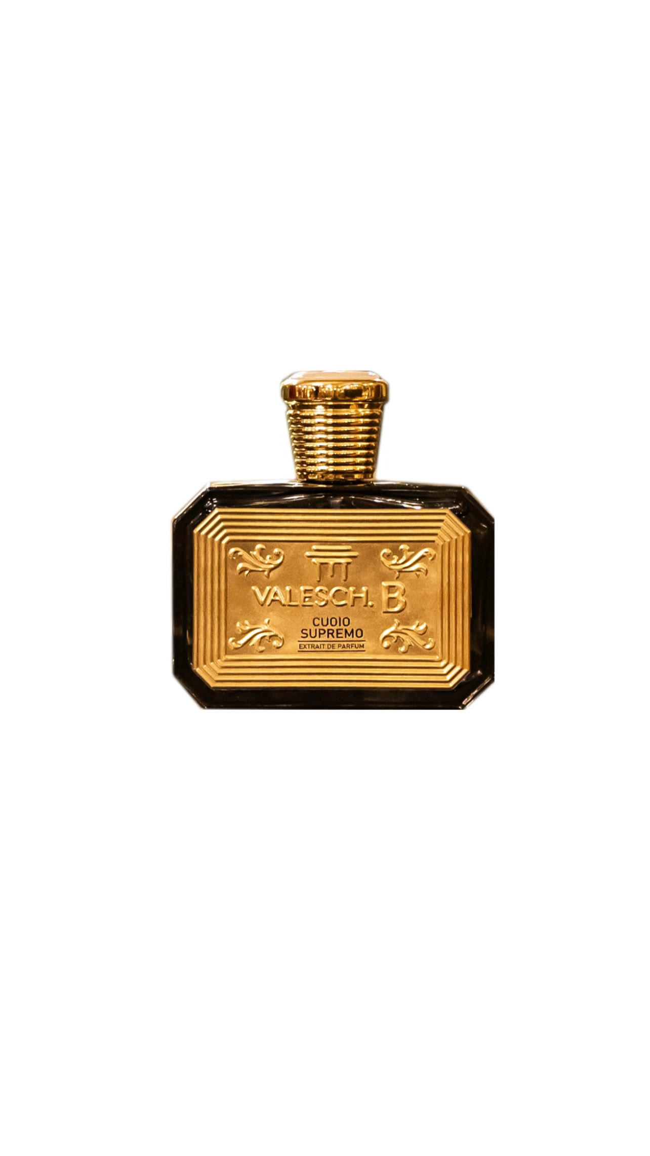 Cuoio Supremo Valesch B. perfume - a new fragrance for women and men 2025