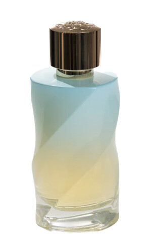 Anima Nous Parfums perfume - a new fragrance for women and men 2024