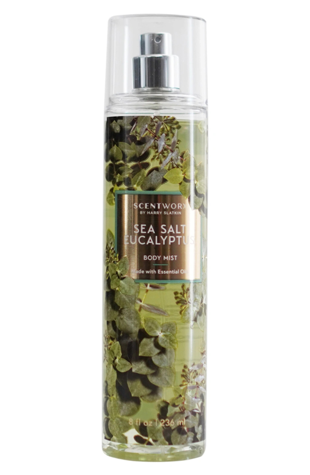 Sea Salt Eucalyptus ScentWorx by Slatkin + Co. perfume - a fragrance ...