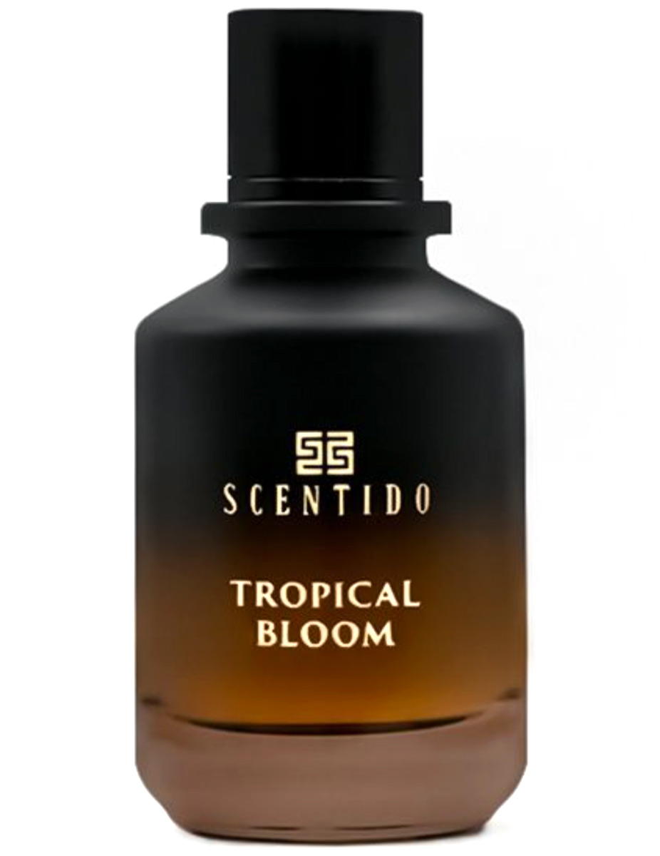 Tropical Bloom Scentido fragancia - una nuevo fragancia para Hombres y ...