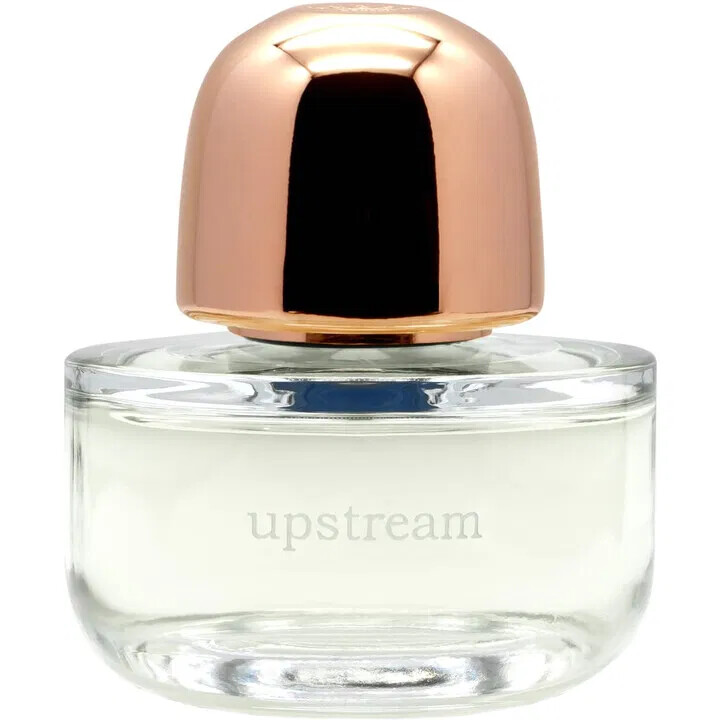 Upstream Kilesa perfume - a fragrância Compartilhável 2021