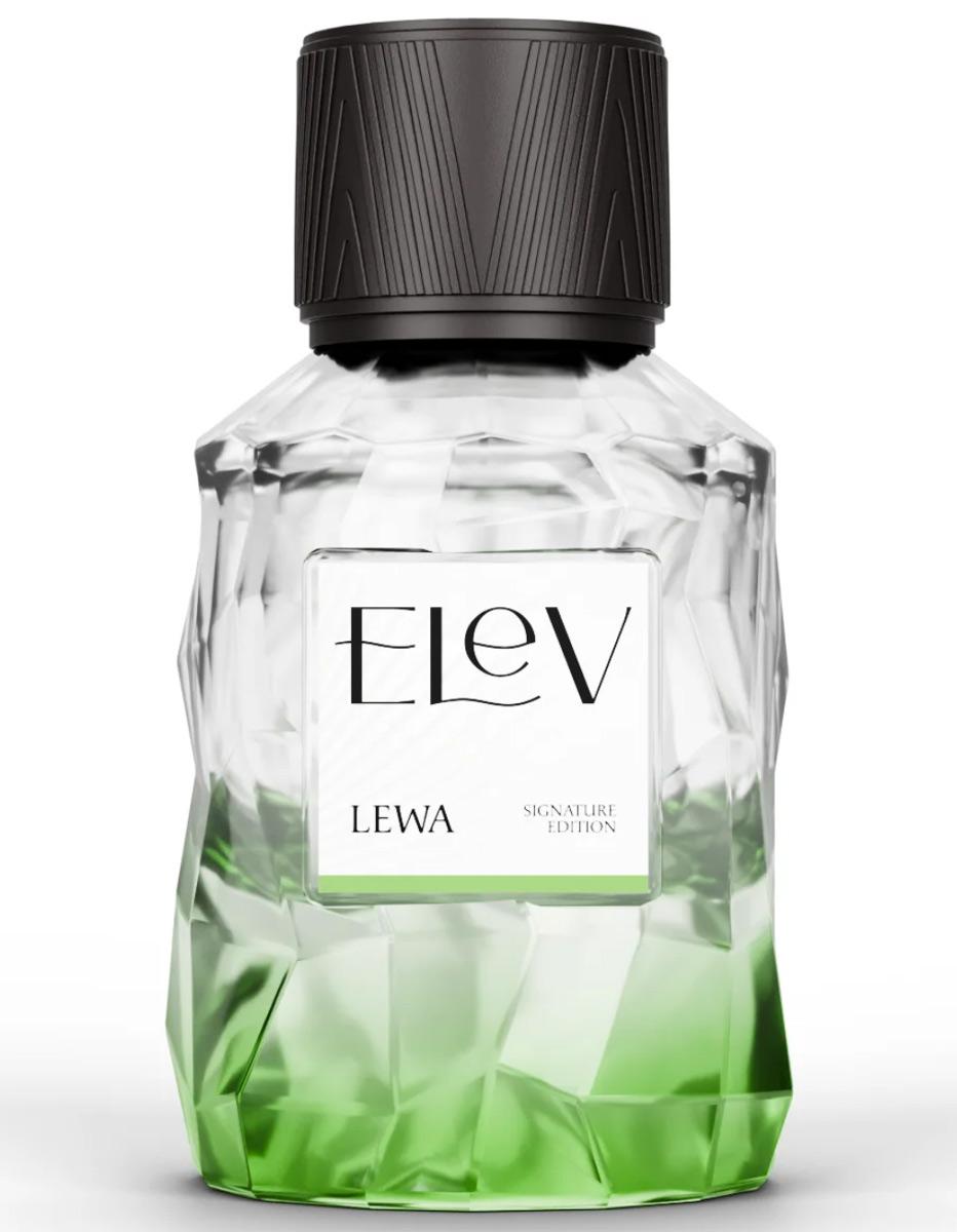Lewa Elev perfume - a new fragrance for women and men 2025