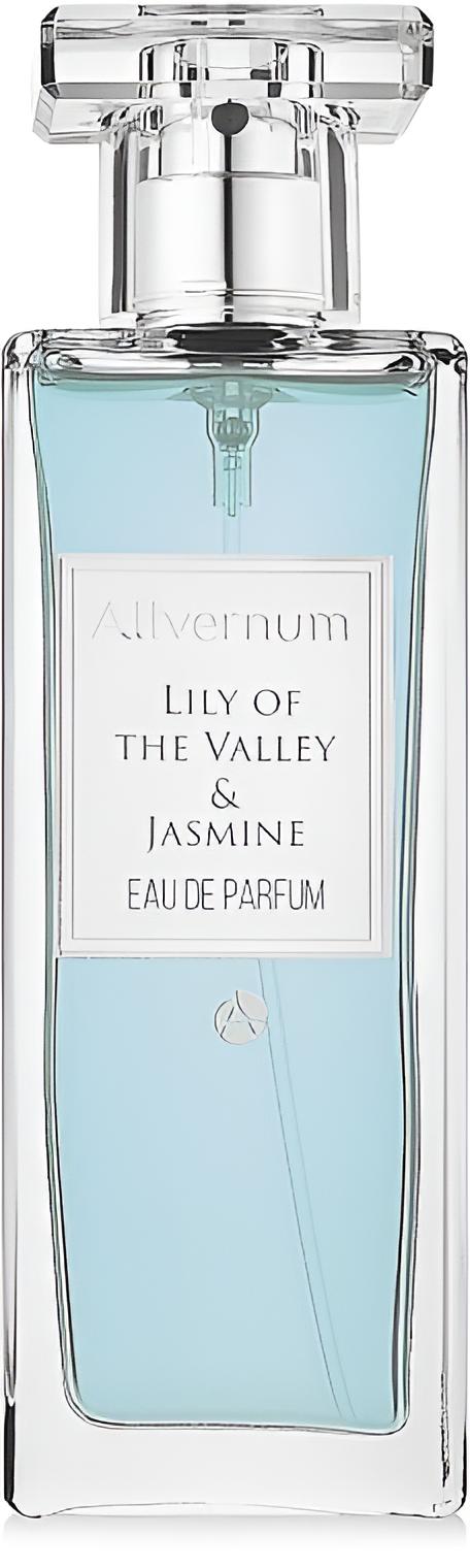 Lily of The Valley & Jasmine Allvernum perfume - a fragrance for women 2017