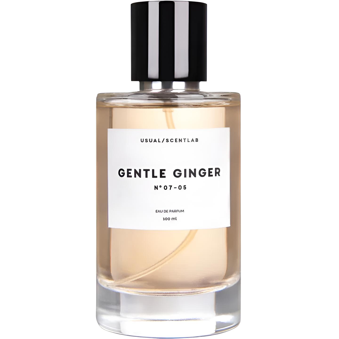 Gentle Ginger № 07-05 Usual Parfums cologne - a fragrance for men 2020