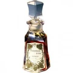 Pampres d'Or Lubin perfume - a fragrance for women 1906