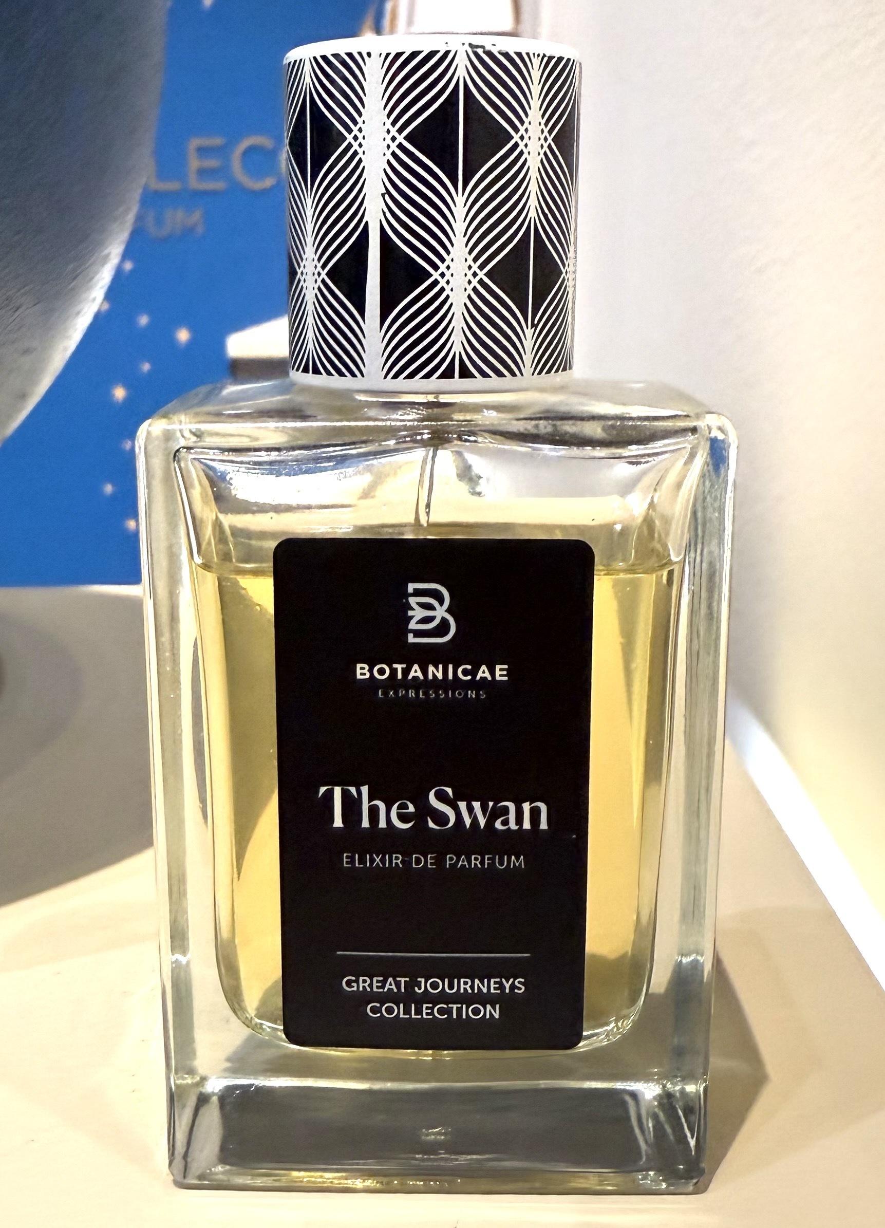 The Swan Botanicae сүрчиг - a шинэ сүрчиг эрэгтэй эмэгтэй 2025