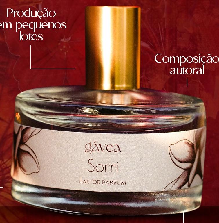 Sorri Gávea Perfumes perfume - a new fragrance for women and men 2024