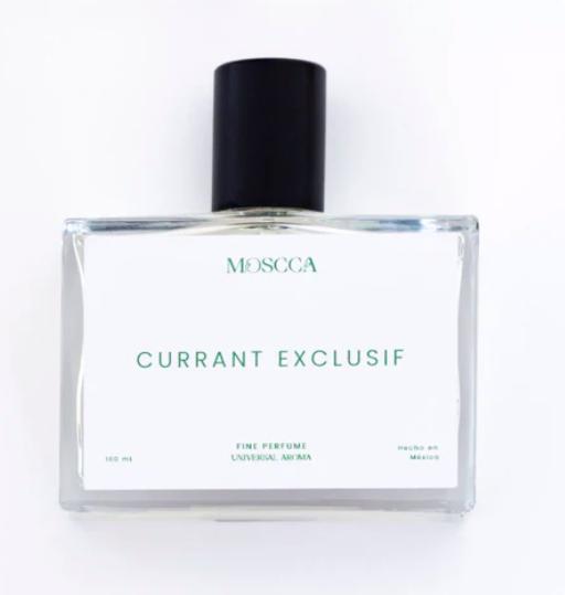 Currant Exclusif Moscca perfume - a new fragrance for women and men 2024