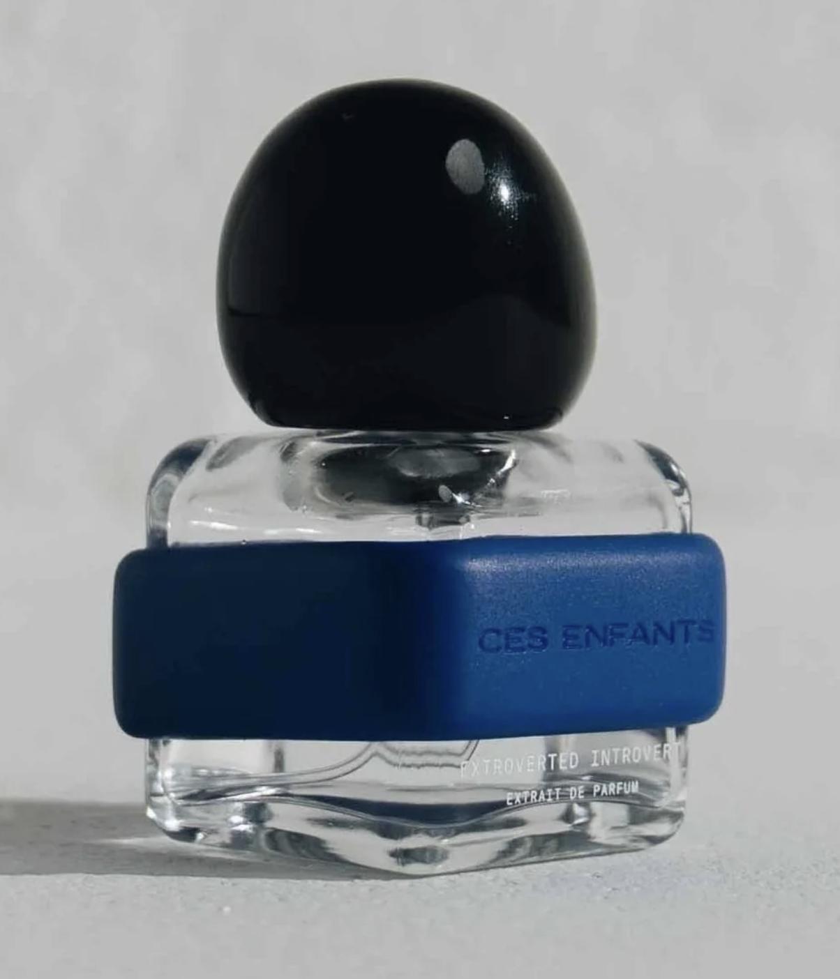 Extroverted Introvert Ces Enfants perfume - a new fragrance for women ...