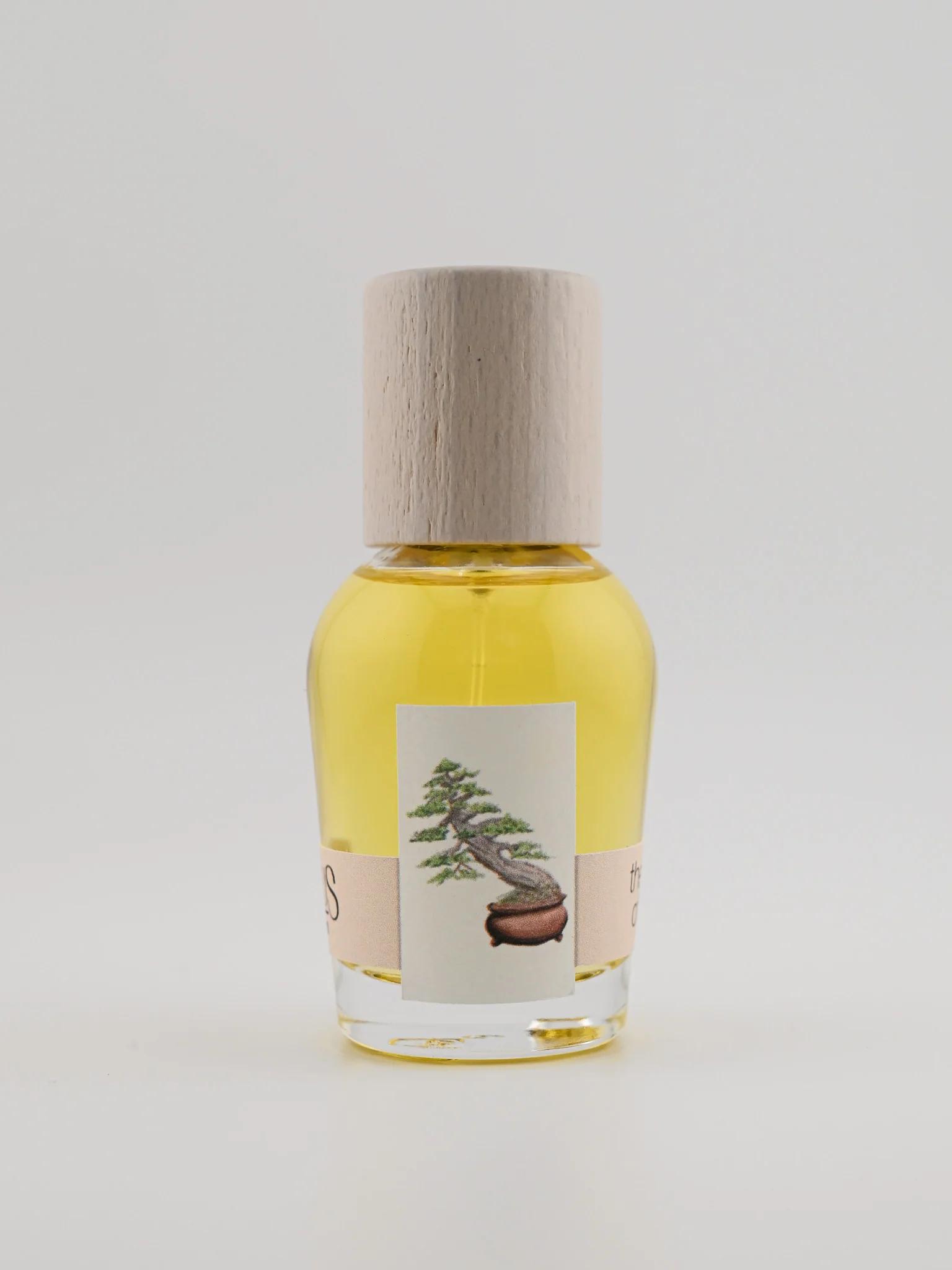 The Idea of You Cirrus Parfum perfume - a fragrance for women and men