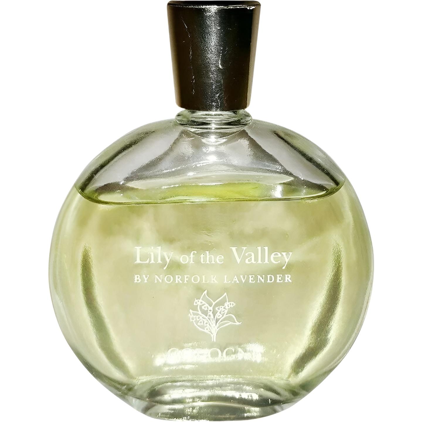 Lily of the Valley Norfolk Lavender perfume - a fragrance for women and men