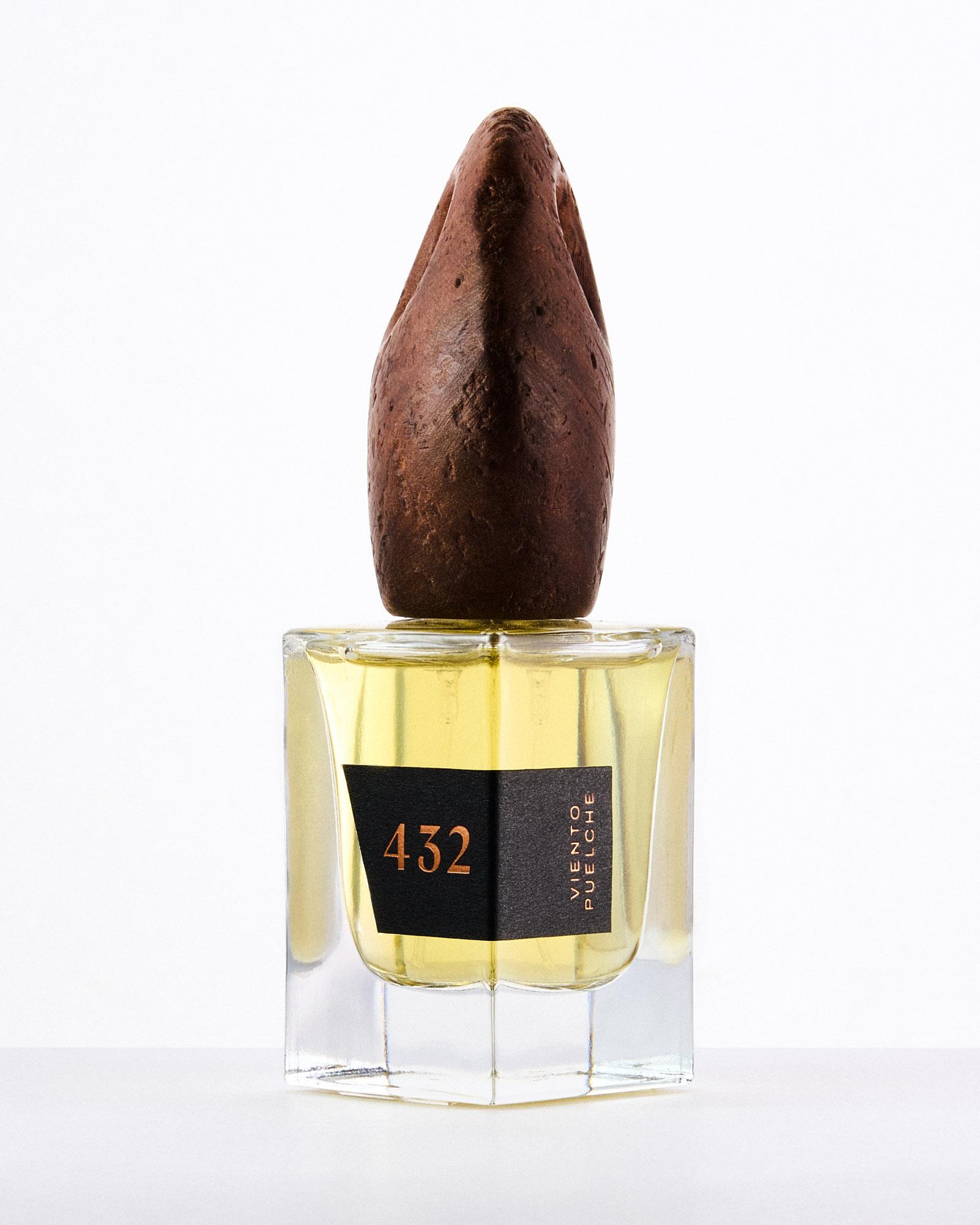 Viento Puelche 432 Wild Botanic Perfumes parfum - un nouveau parfum ...