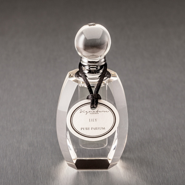 Lily Signature Fragrances аромат — аромат для женщин 2014