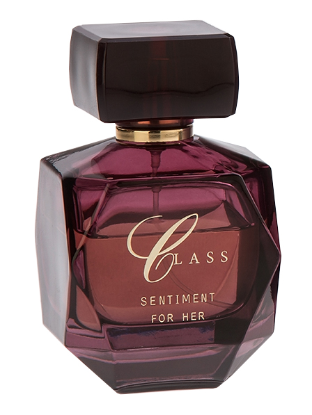 Sentiment Class perfume - a fragrance for women 2014