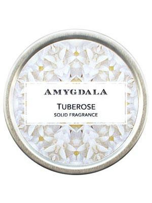 Tuberose Amygdala сүрчиг - a сүрчиг эрэгтэй эмэгтэй 2016