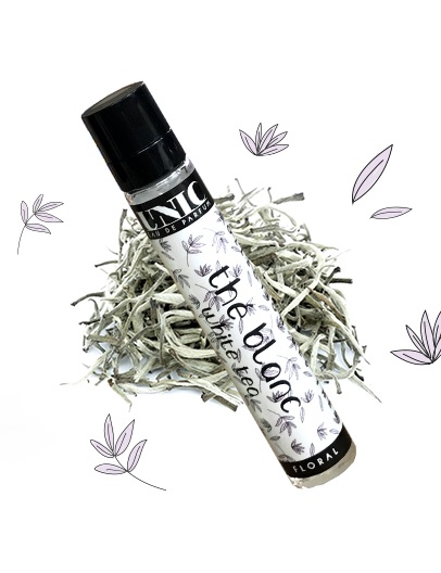 The Blanc - White Tea Unic fragancia - una fragancia para Hombres y ...