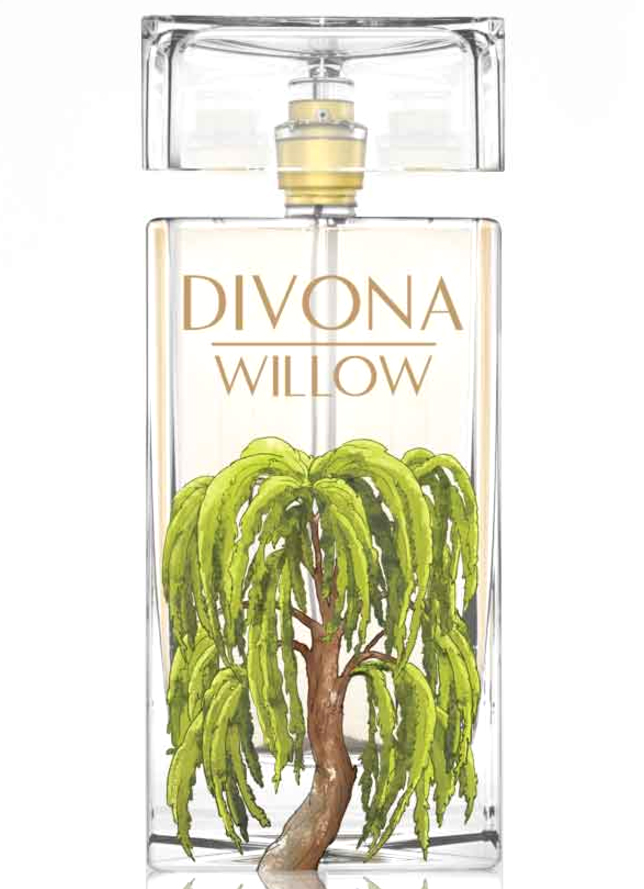 Willow Divona perfume - a fragrance for women 2017