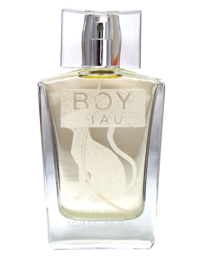 Boy Mau Perfume cologne - a fragrance for men 2019