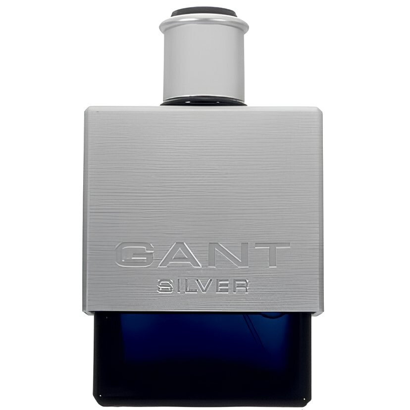 Gant Silver Gant Cologne - ein es Parfum für Männer 2008