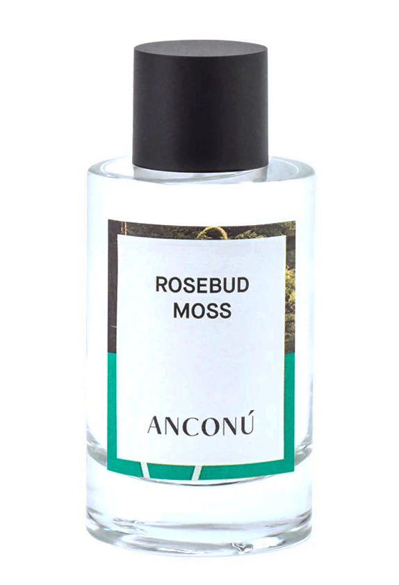 Rosebud Moss Anconu perfume - a fragrance for women and men 2021