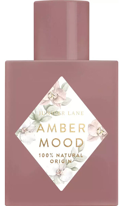 Amber Mood Nature Blossom parfum - een geur voor dames 2020