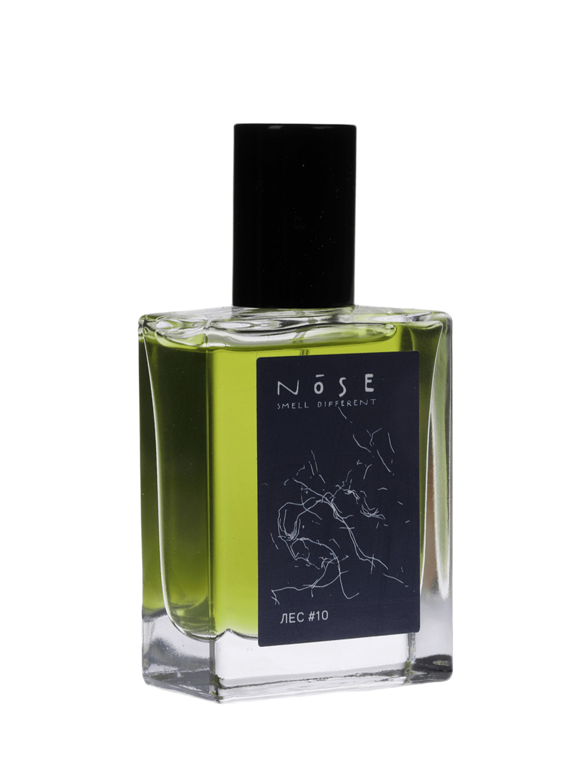 Forest #10 Лес #10 Nose Perfumes perfume - a fragrance for women and ...