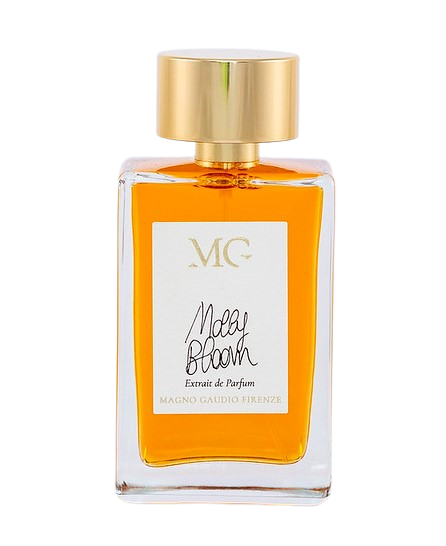 Molly Bloom Magno Gaudio Firenze perfume - a fragrance for women 2021