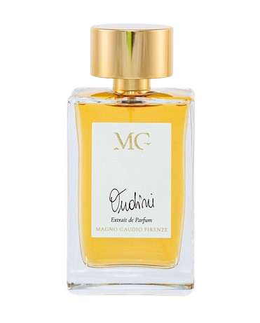 Oudini Magno Gaudio Firenze cologne - a fragrance for men 2021