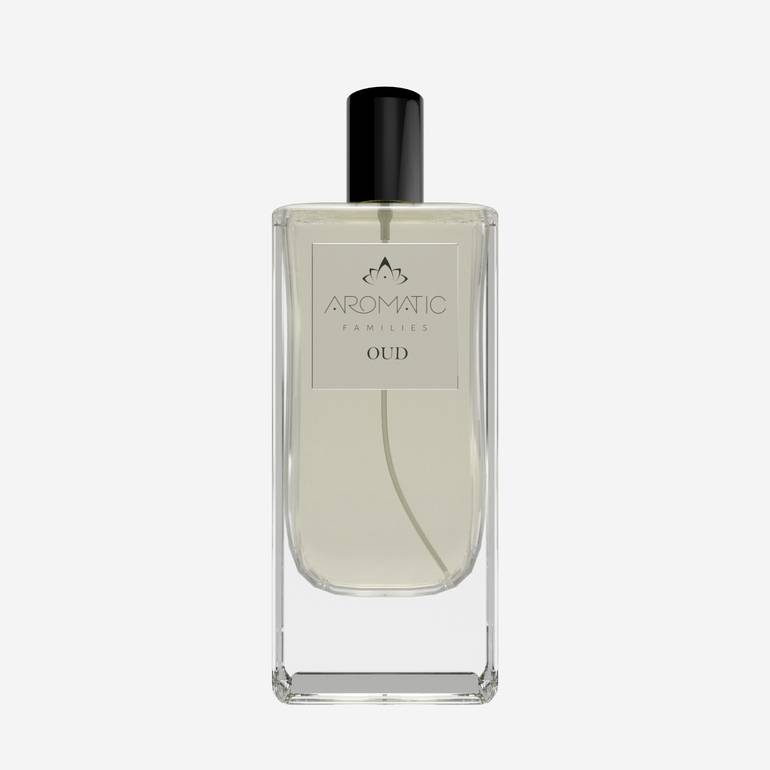 Oud Aromatic Families perfume - a fragrance for women and men 2021