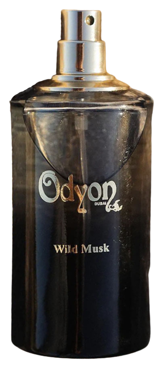 Wild Musk Odyon Dubai perfume - a fragrance for women and men 2021