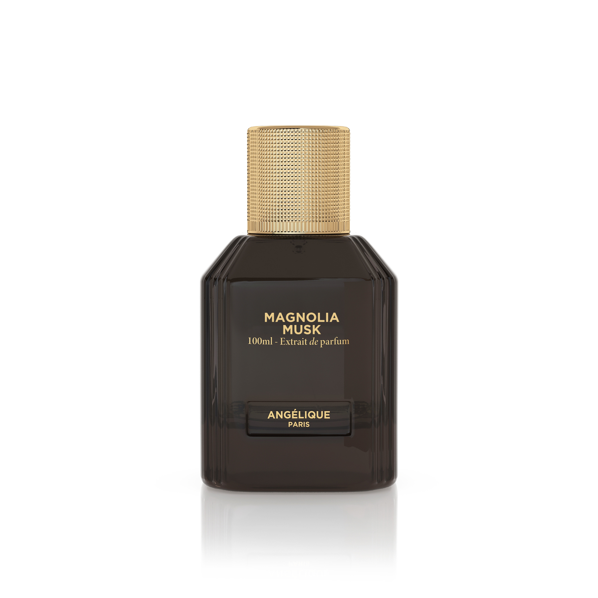Magnolia Musk Angelique Paris perfume - a fragrance for women and men 2022