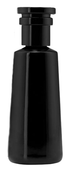 Explorer ARgENTUM perfume - a fragrance for women and men 2022