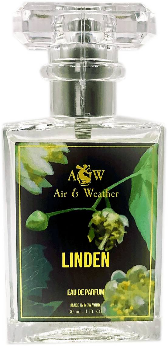 Linden Air & Weather perfume - a new fragrance for women and men 2023
