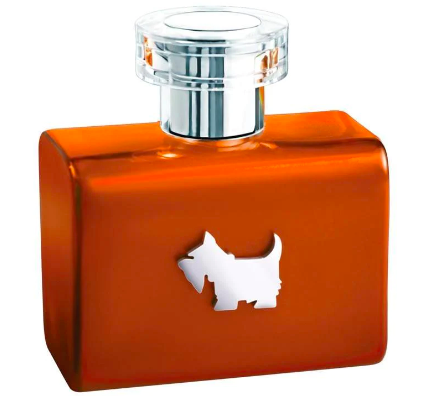 Terrier Orange Ferrioni Colônia - a fragrância Masculino