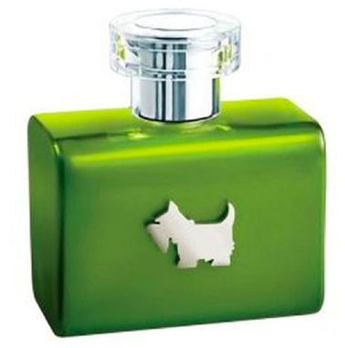 Terrier Be Green Ferrioni perfume - a fragrance for women