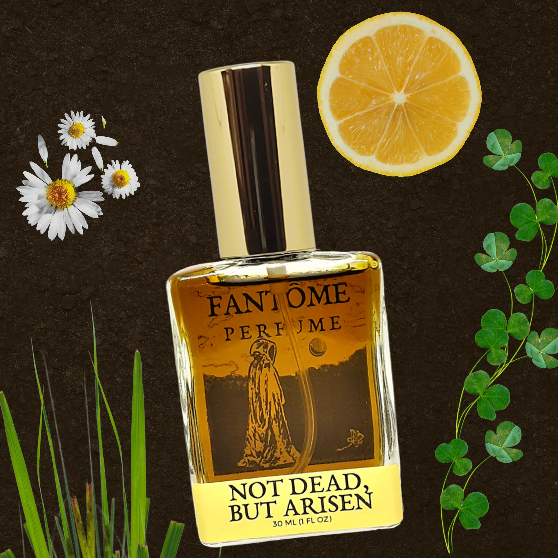 Not Dead, but Arisen Fantôme Parfum - ein es Parfum für Frauen und Männer