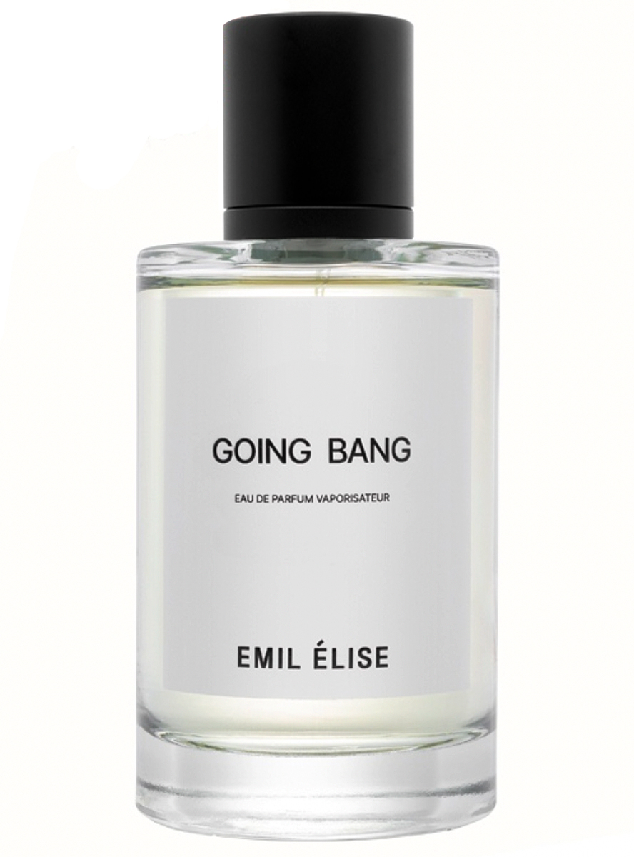 Going Bang Emil Elise perfume - a novo fragrância Compartilhável 2022