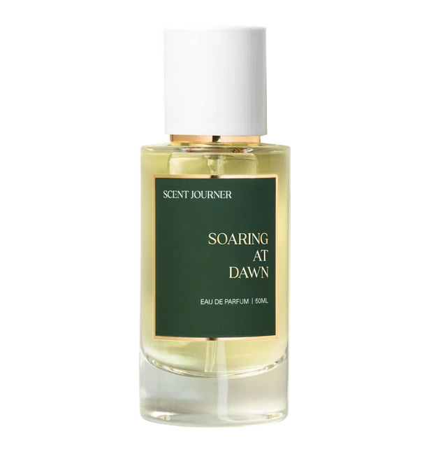 Soaring At Dawn Scent Journer perfume - a fragrance for women and men 2023