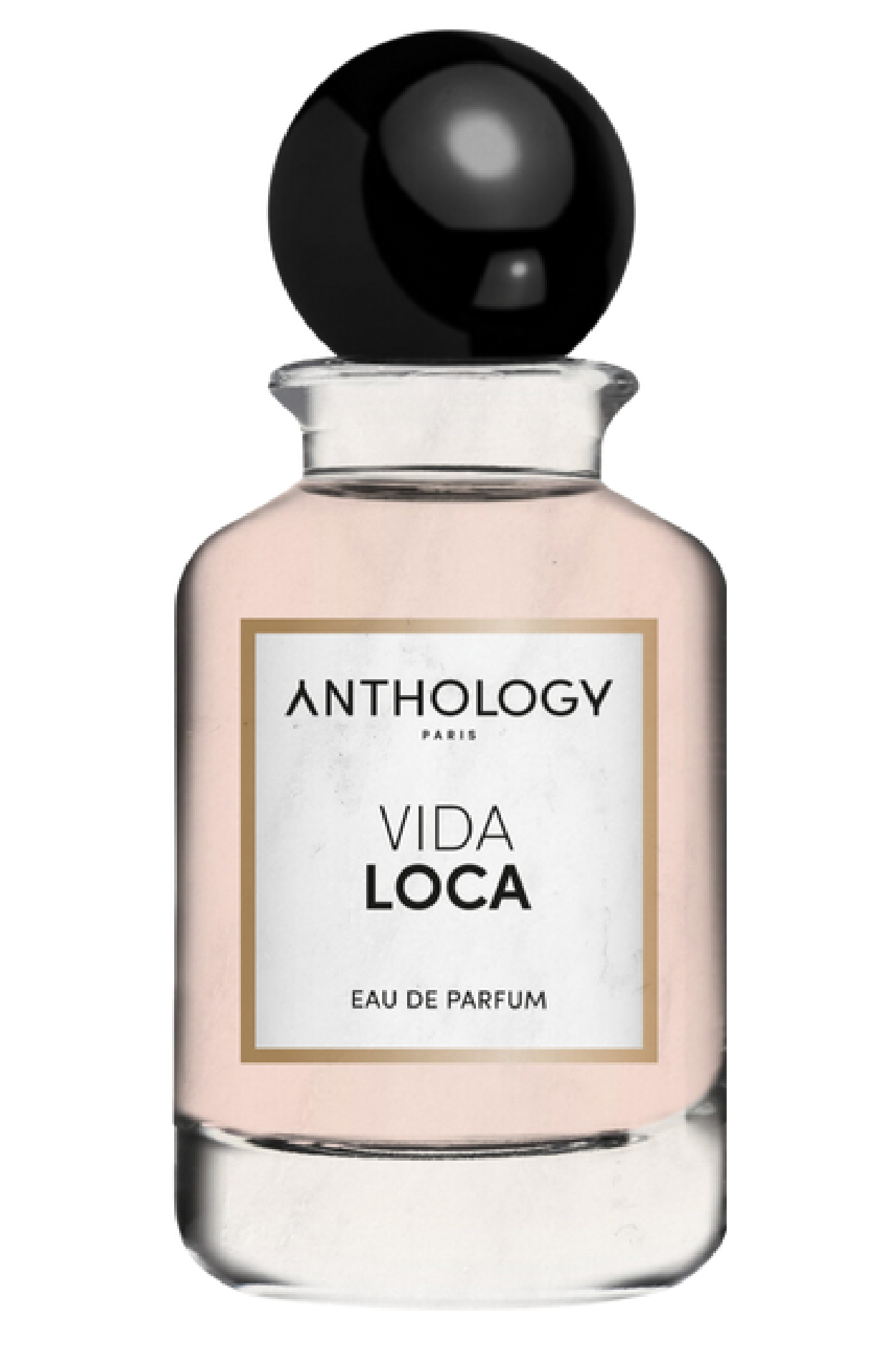 Vida Loca Anthology perfume - a fragrance for women 2023