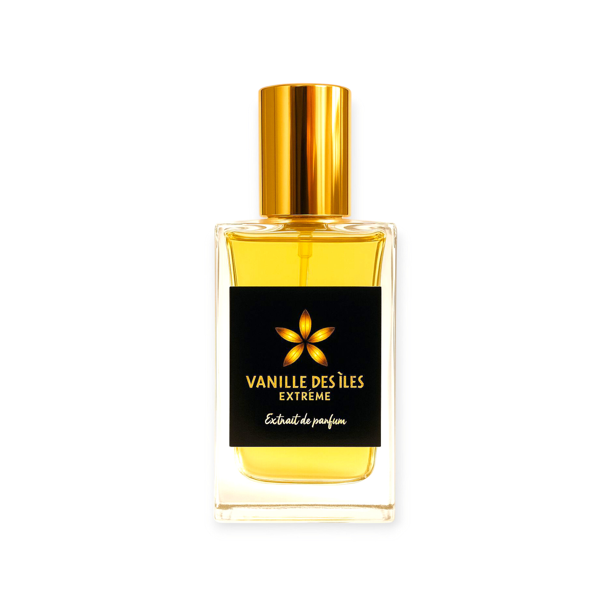 Vanille des Îles Extrême Ô Médina Perfumery parfum - un nouveau parfum ...