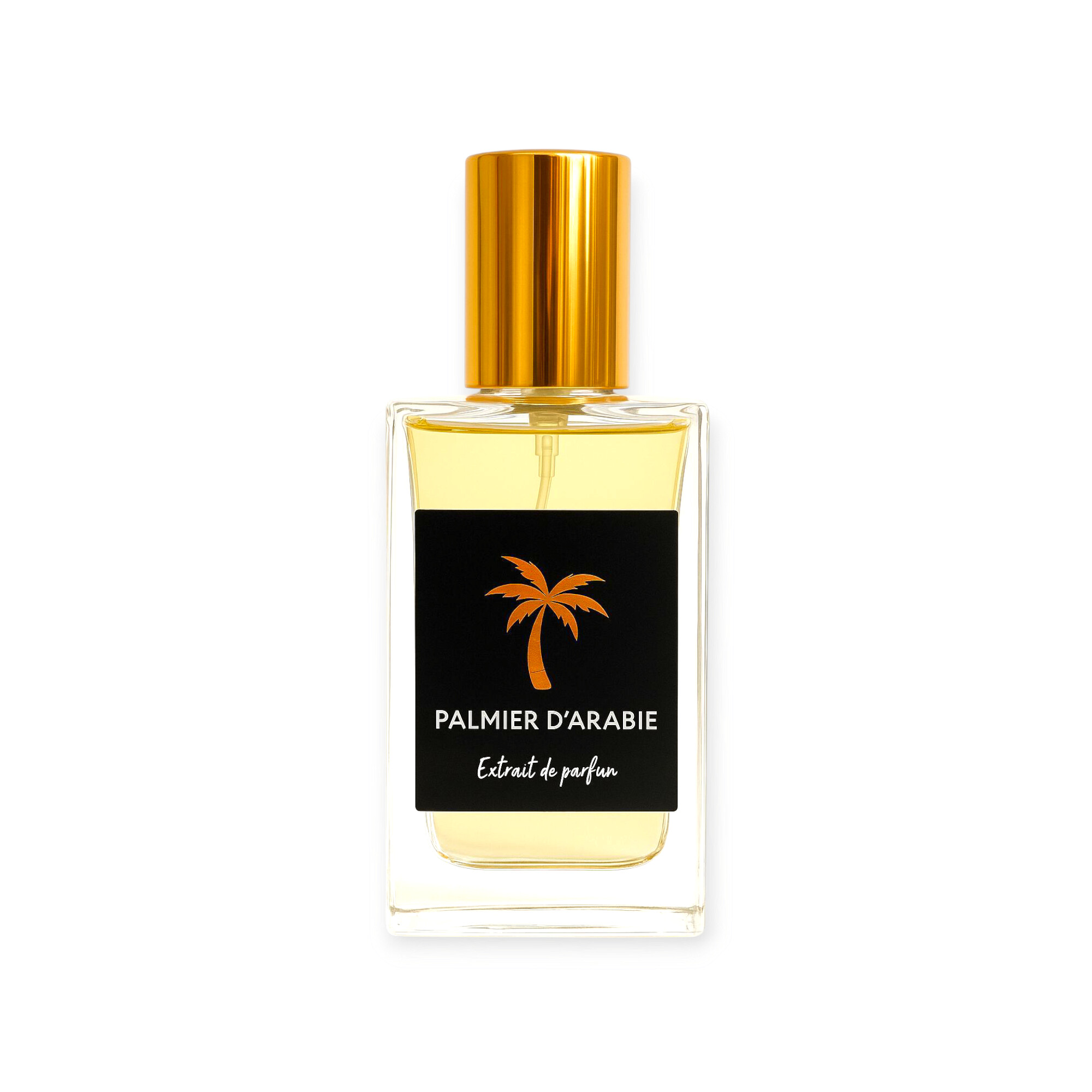 Palmier D'Arabie Ô Médina Perfumery άρωμα - ένα νέο άρωμα για γυναίκες ...
