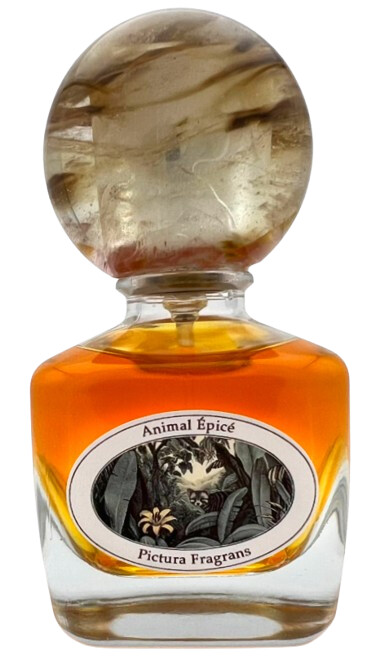 Animal Épicé Pictura Fragrans Parfum - ein es Parfum für Frauen und ...