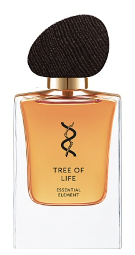 Essential Element Tree Of Life perfume - a new fragrance for women and ...